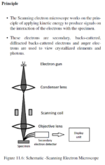 Describe the construction and working of Scanning Electron Microscope ...